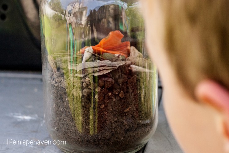 Saying "Yes" to a Roly Poly Pet - Life in Lape Haven