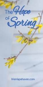 The Hope of Spring - Life in Lape Haven