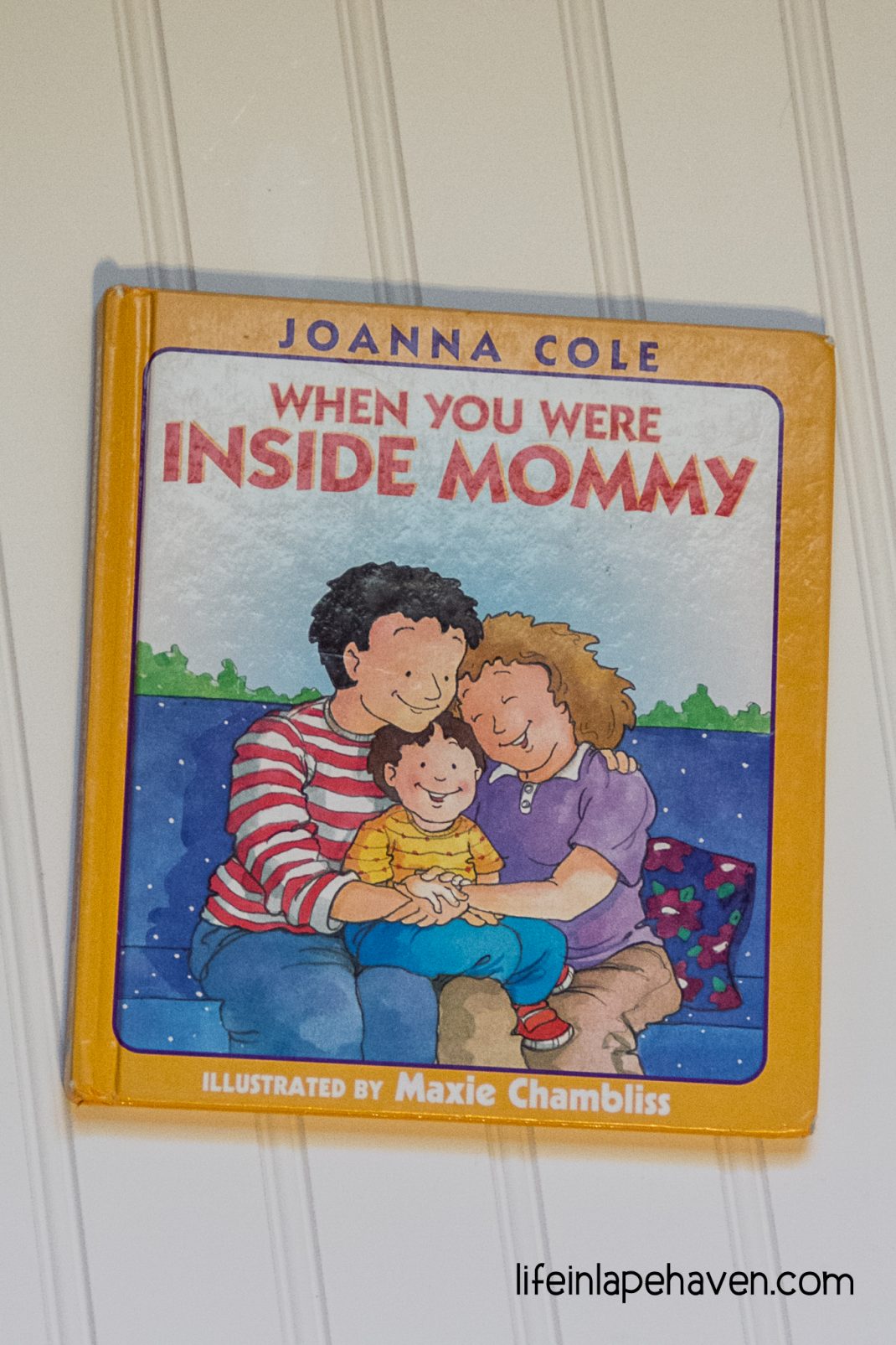 Our Favorite Children's Book About Pregnancy & Babies - Life in Lape Haven